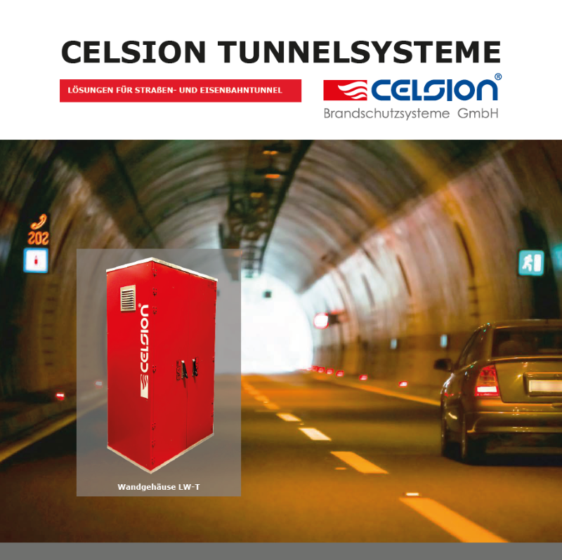 Flyer - Celsion